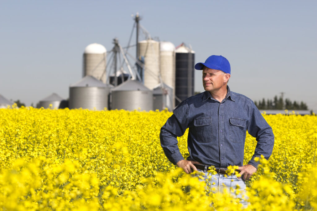 Investing in Sustainable Grain and Oilseed Storage Practices